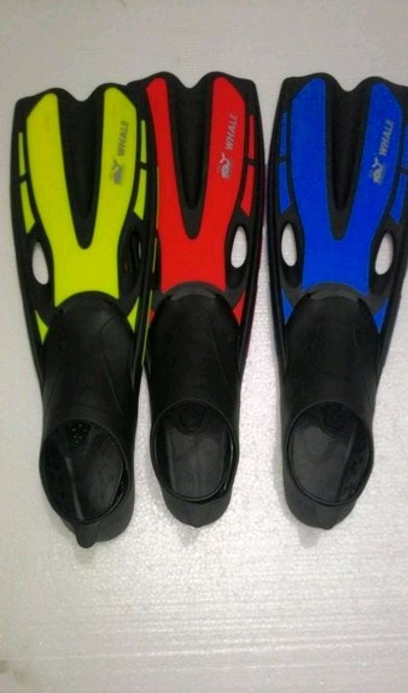 Jual Whale Terbaru April 2024 100% Original – Official Store Indonesia ...