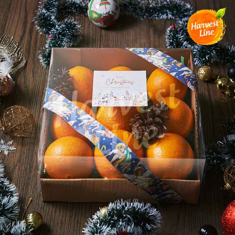 Promo Parcel Hampers Natal Buah Fruit Box Free Kartu Ucapan Hari Raya ...