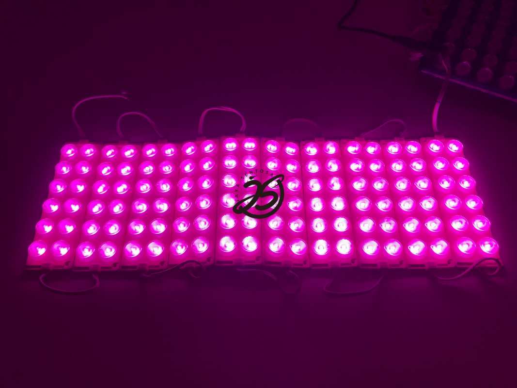 Jual LED 12 MATA BESAR 12V & 24V 6W (1buah)LED BAK TRUK LED MODUL 2x6 ...