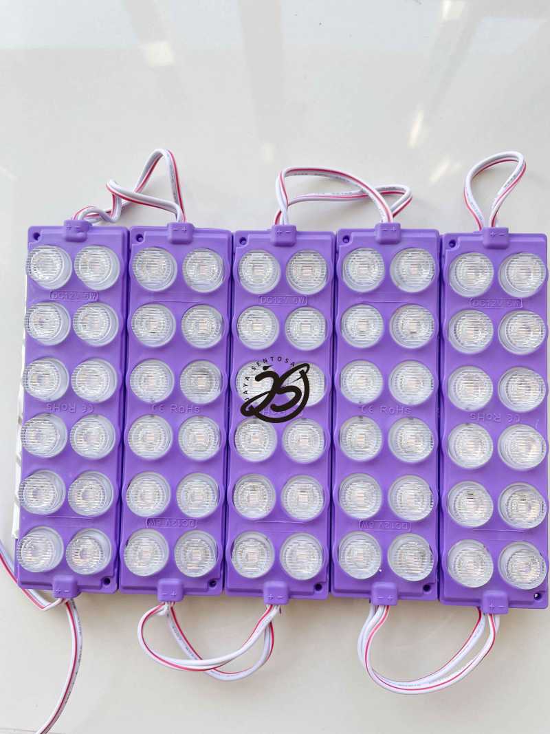 Jual LED 12 MATA BESAR 12V & 24V 6W (1buah)LED BAK TRUK LED MODUL 2x6 MATA 12V-24V - 24V UNGU di ...