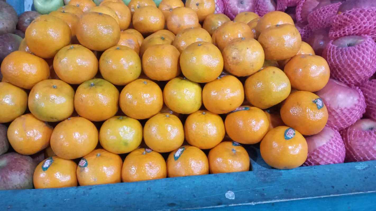 Jual Jeruk Kino 1/2Kg Halal di Seller indriastw - Mekar Mulya ...