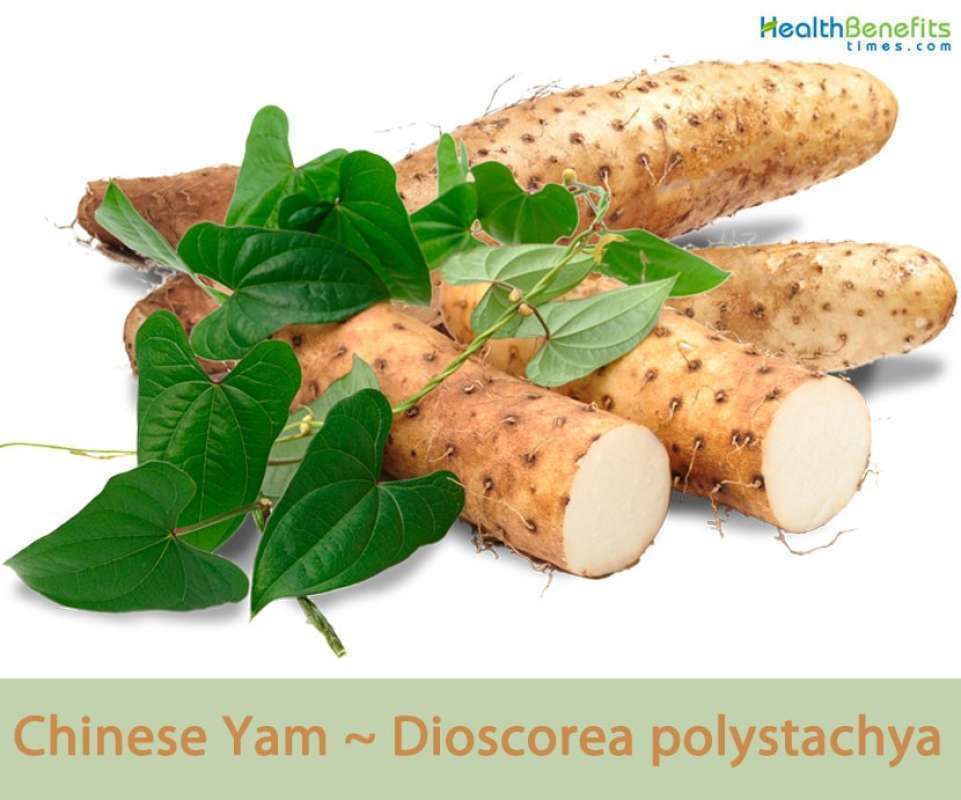 Jual Sayur Segar Ubi Talas Chinese Yam / Huai San / Nagaimo Yam 250gr ...