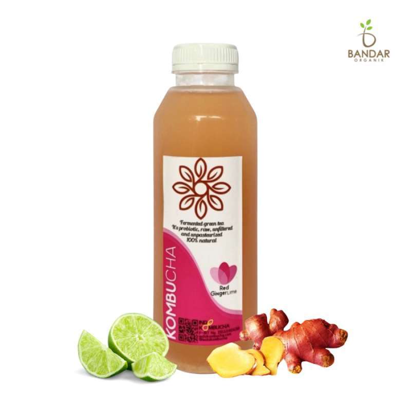 Jual Kombucha Terbaru Juni 2024 100% Original – Official Store Indonesia | Blibli