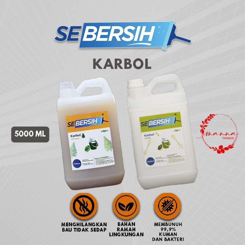 Segera Dapatkan Rumah Indah Bersih Sekarang Juga! 15 Rekomendasi Karbol ...