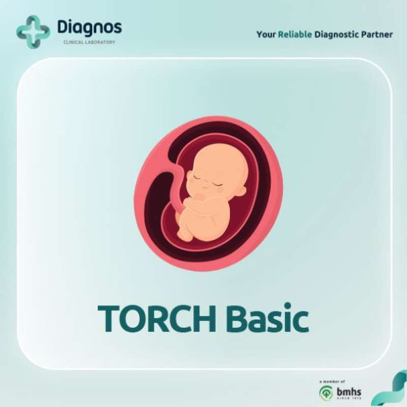 Promo Paket Prenatal Test - Torch Basic - Diagnos Laboratorium E ...