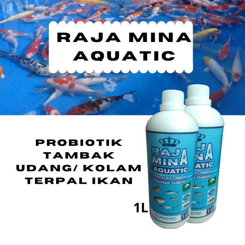 Jual Probiotik tambak Ikan Mas, DEKOMPOSER pengolah limbah tambak ...