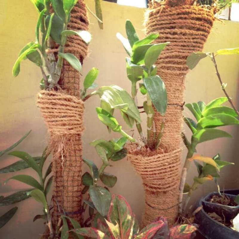 Jual Tali Tambang Sabut Kelapa /Tali Tepes/Coconut fiber rope/Serabut ...