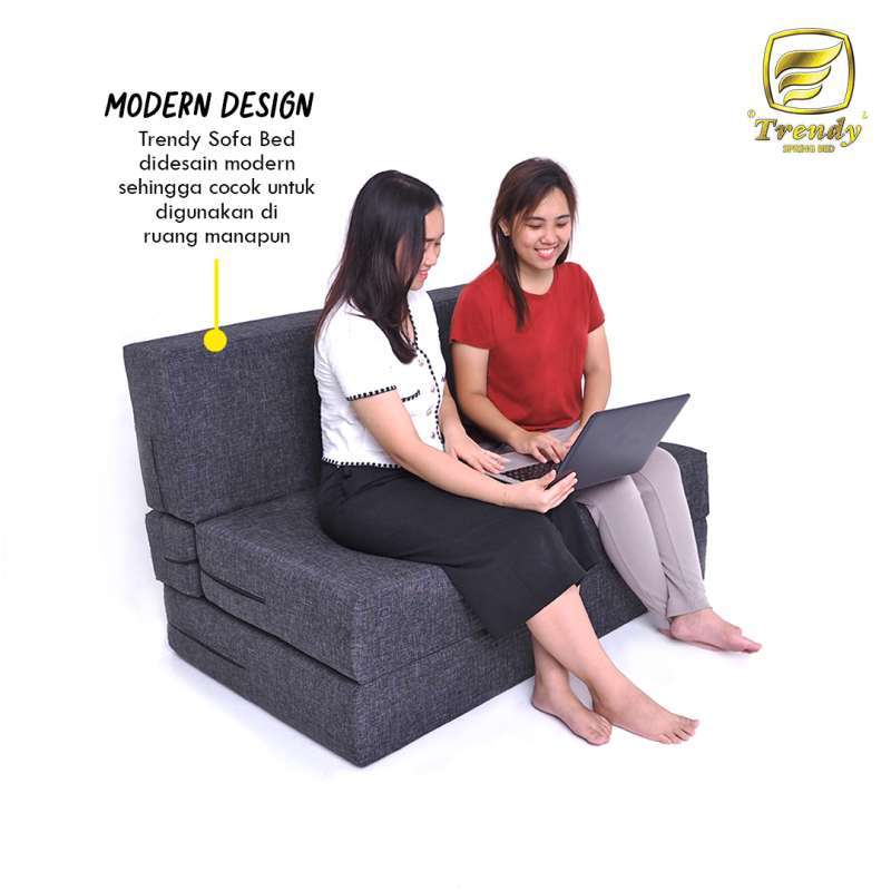 Jual Trendy Paradiso Sofa Bed 120x200x20 Cm - Kasur Busa Lipat ...