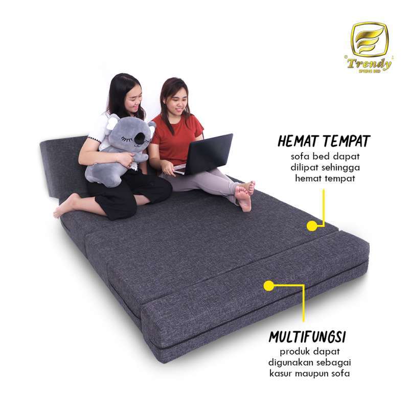 Jual Trendy Paradiso Sofa Bed 120x200x20 Cm - Kasur Busa Lipat ...