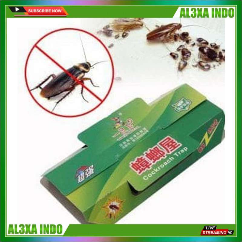 Jual Mr Bug Cockroach Trap Rumah Perangkap Kecoa 1 Lembar- di Seller AL3XA INDO - | Blibli