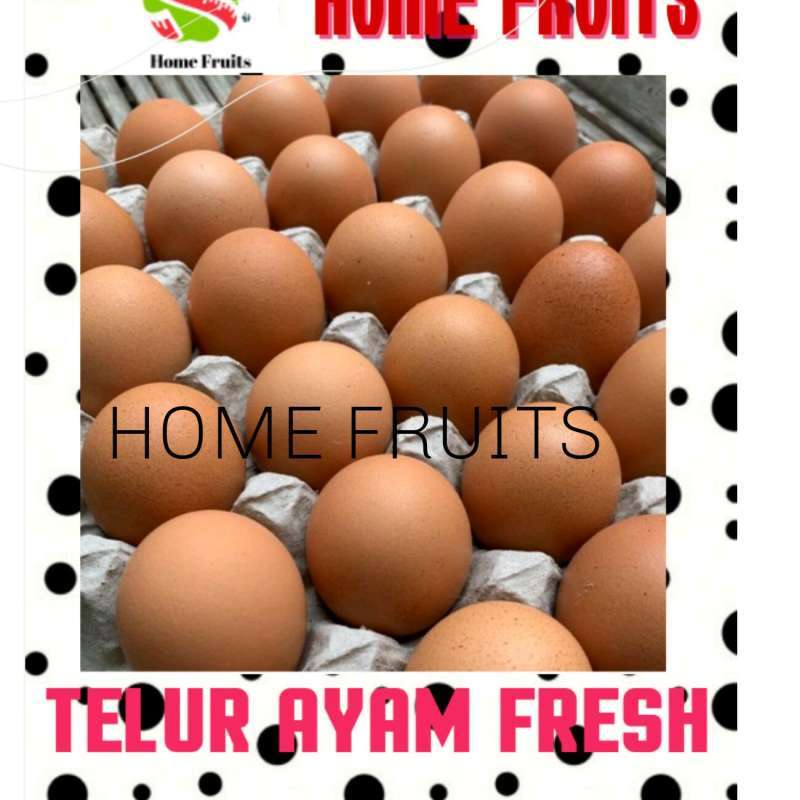 Jual TELUR AYAM NEGERI FRESH PER KG/ TELUR AYAM 1 KG/ TELUR AYAM NEGERI ...