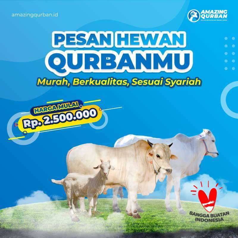 Jual Sapi Kurban 2022 Putih/po/simental/pegon/limosin Syar'i & Bergaransi Termurah Dan ...