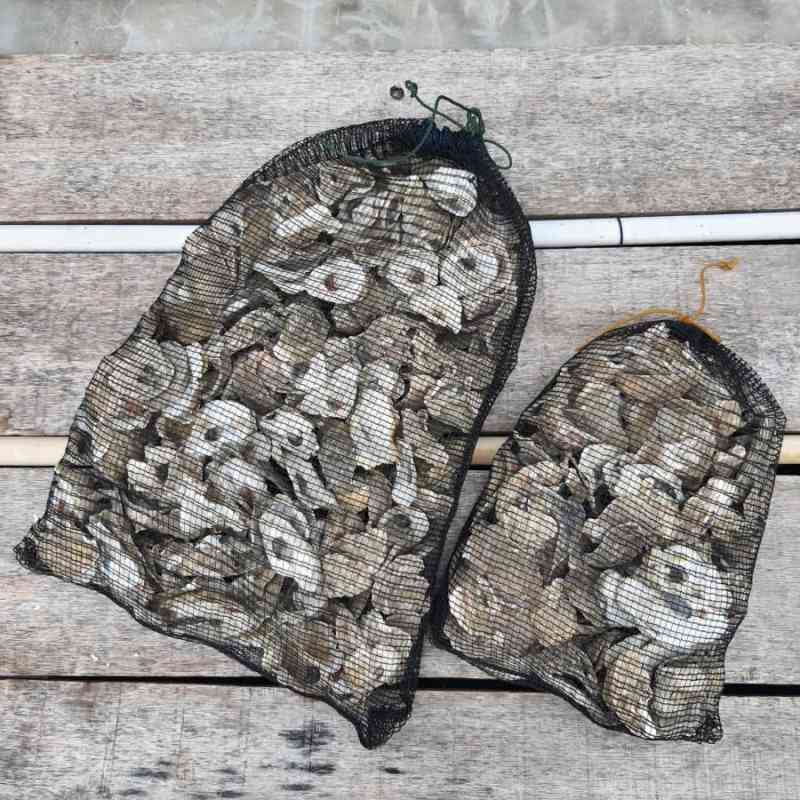 Jual Oyster Shell Kulit Kerang 5kg Media Filter Kolam Koi PH Buffer di ...