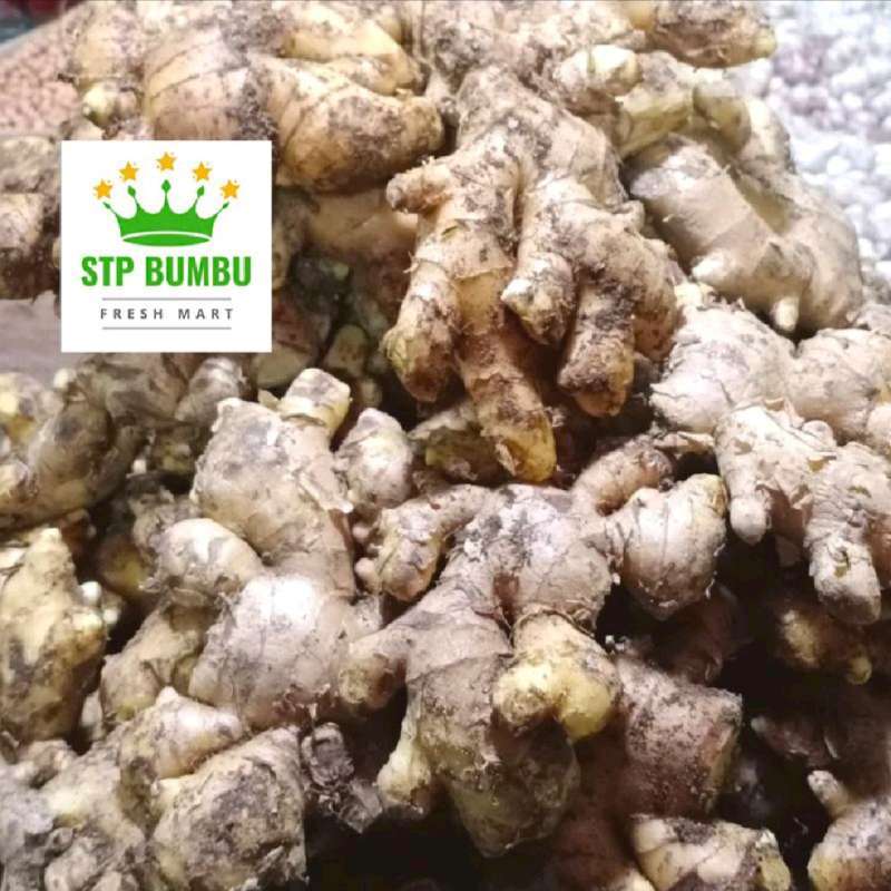 Jahe Putih Segar 1 Kg Gratis Ongkir 🏷️ Harga Murah Mei 2026