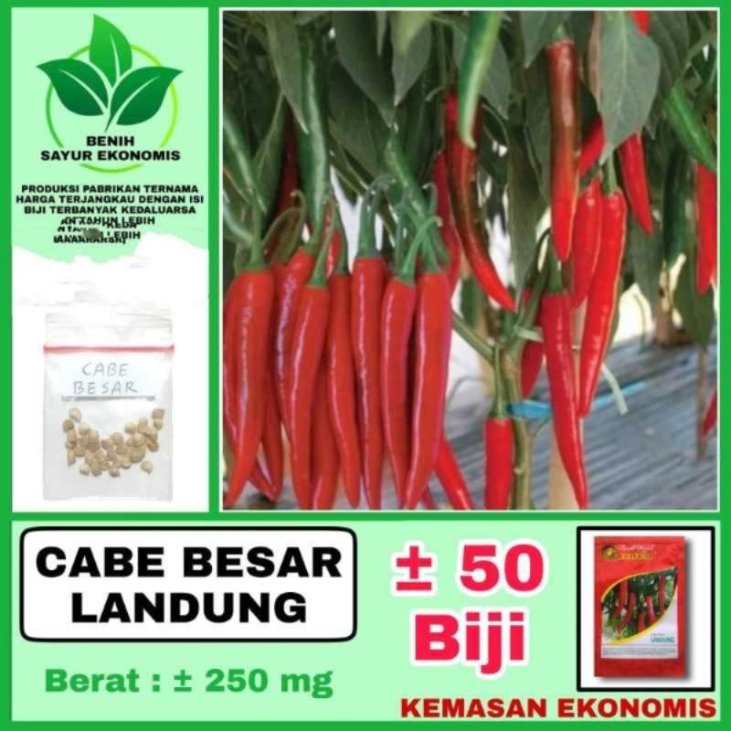 Jual Benih Sayur 1 Kg Original Murah - Harga Diskon Maret 2024 | Blibli.com