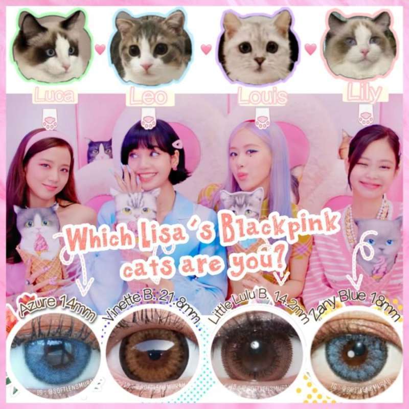 Jual Softlens Lisa Blackpink Cats di Seller Softlensmurah - Bongkaran ...