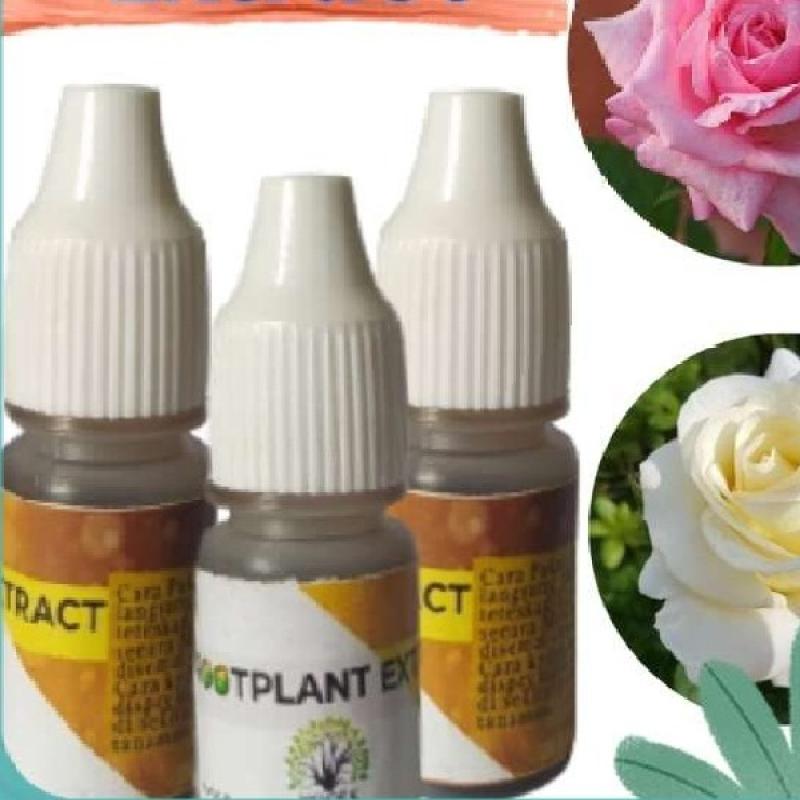 Jual Pupuk Bunga Mawar-RootPlant Extract-Pupuk Pemacu Bunga Mawar Agar ...