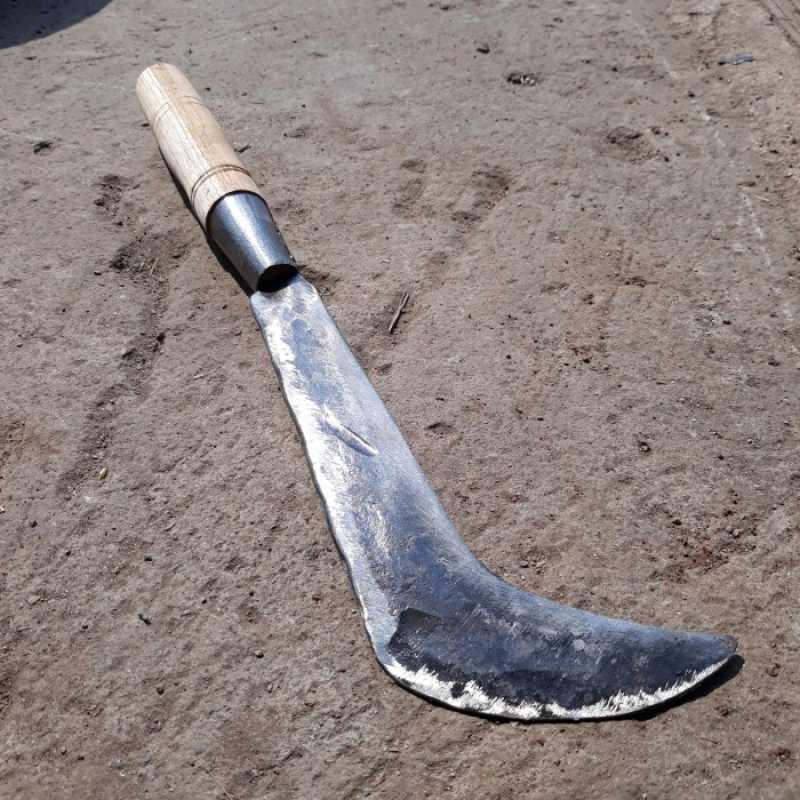 Promo Arit Rumput Baja Per Arit Px Pisau Sabit Diskon 12% di Seller ...