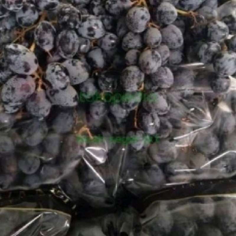 Jual Anggur Muscat 1 Kg Termurah - Harga Grosir Terupdate Hari Ini | Blibli