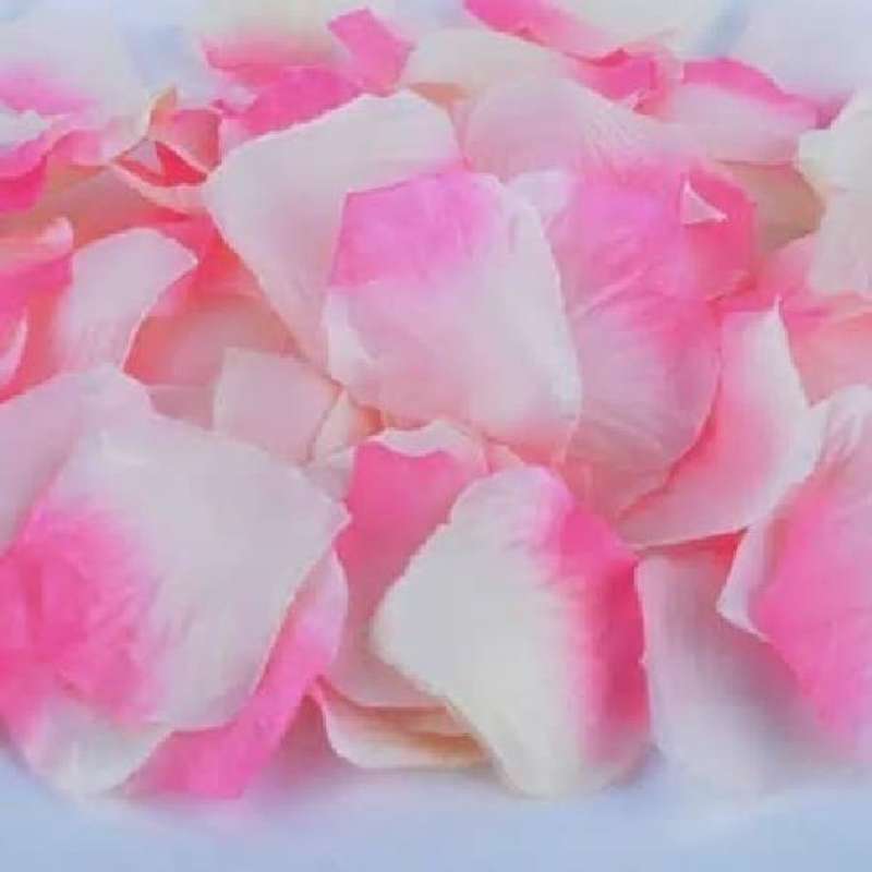 Jual Kelopak Bunga Mawar 100 Pcs Di Seller Grosir Home&fashion Gzet ...