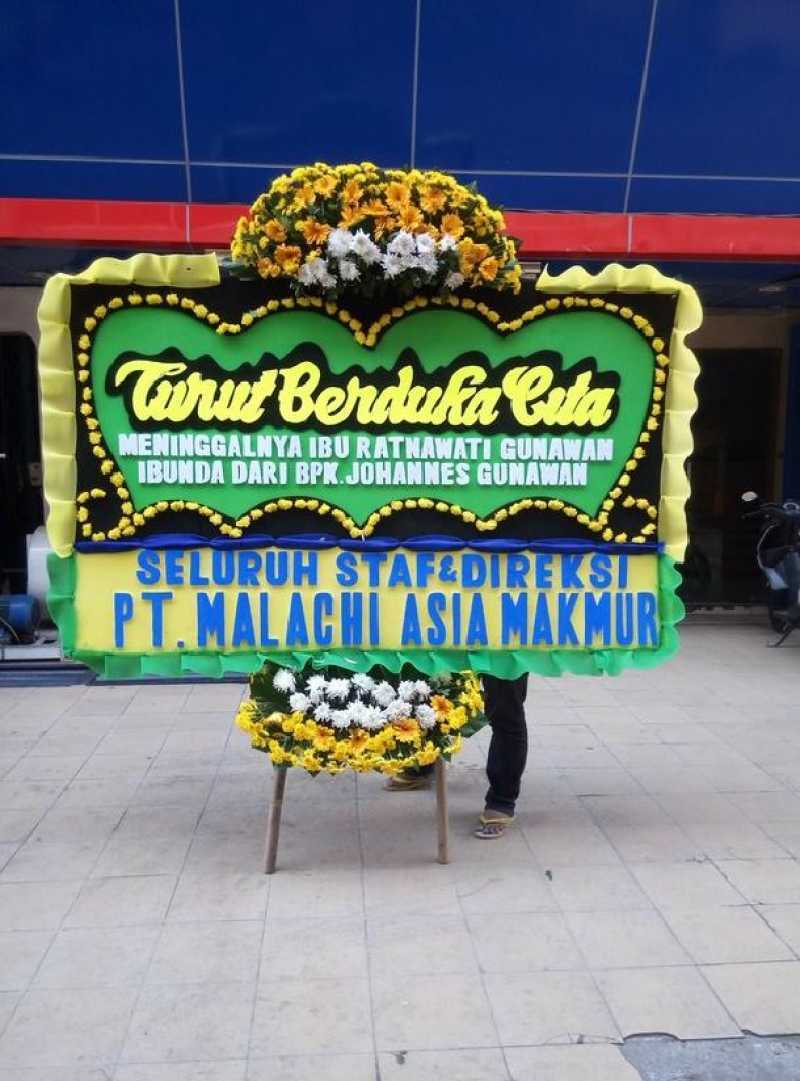 Jual Frozen Bunga Tanjung Terbaik Maret 2025 - Harga Murah & Gratis ...