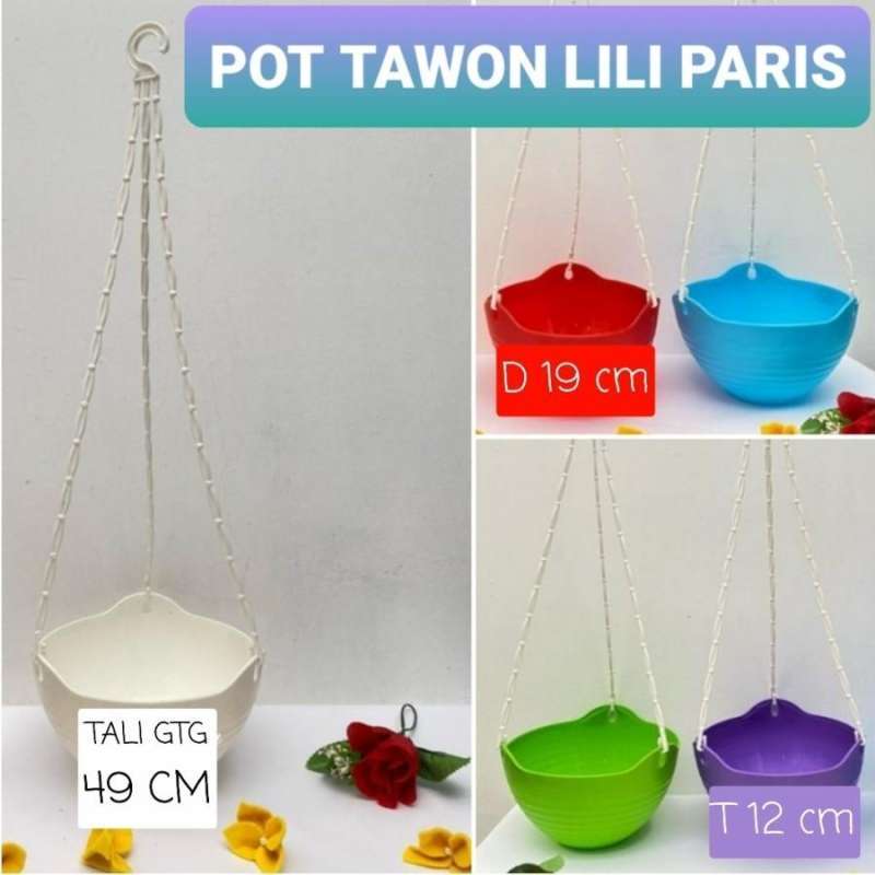Jual Pot Gantung Bunga Tanaman Tawon Lili Paris 20 Warna Alexish di ...
