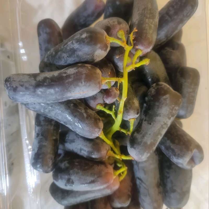 Promo Buah Anggur Sapphire 1 pack di Seller Clarif_jaya - Kota Jakarta ...