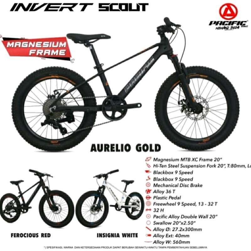 Jual Sepeda Gunung Anak Mtb 20 Inch Pacific Invert Scout Di Seller ...