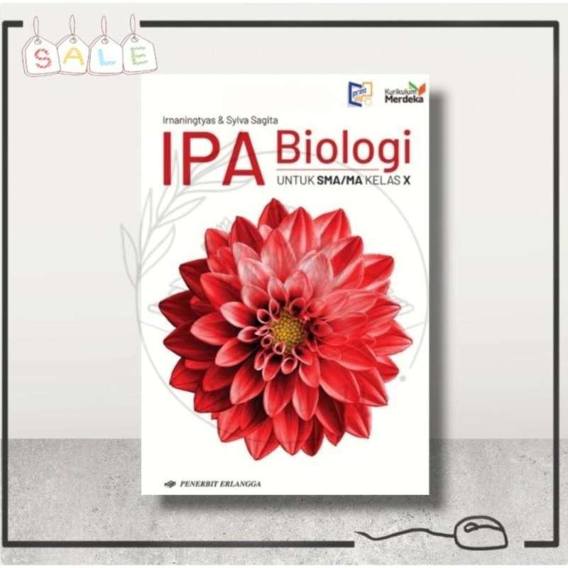 Jual Erlangga Buku IPA Biologi Untuk SMA/MA Kelas X Kurikulum Merdeka ...