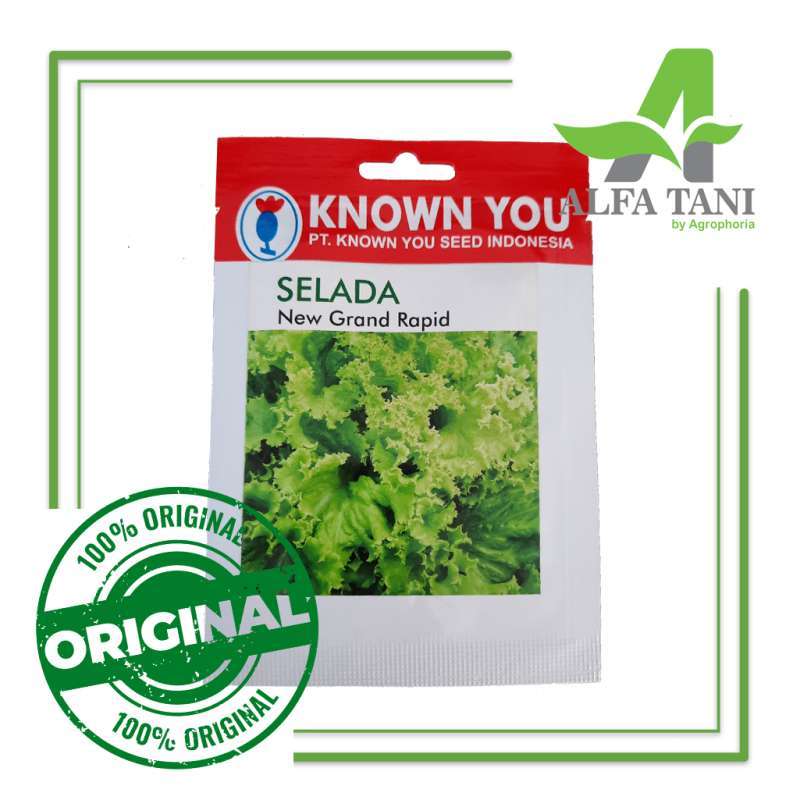 Jual Benih Selada Hijau Keriting New Grand Rapid 5 gram / Known You Seed di Seller Toko Alfa ...
