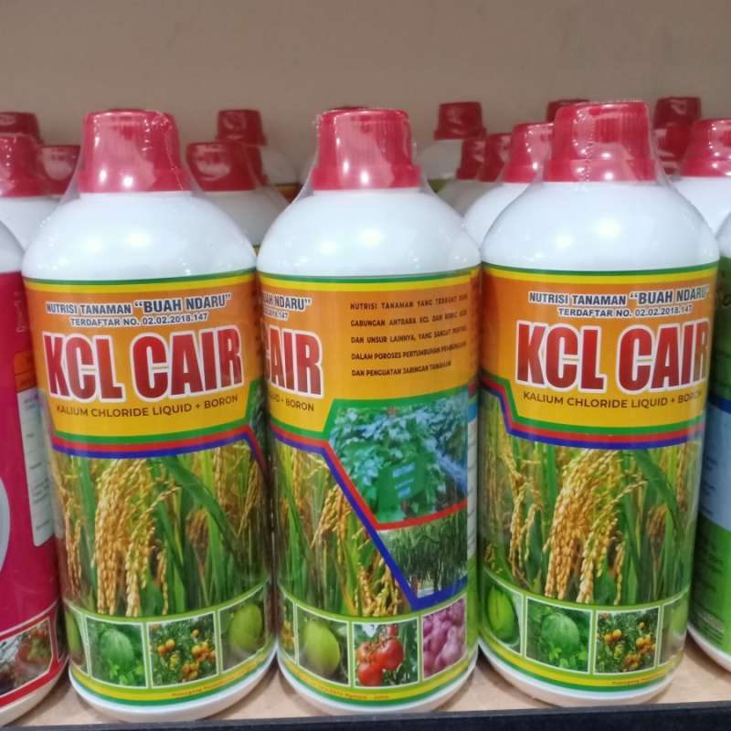 Jual PUPUK KCL 1 liter di Seller horticoolture - Balung Lor, Kab. Jember | Blibli