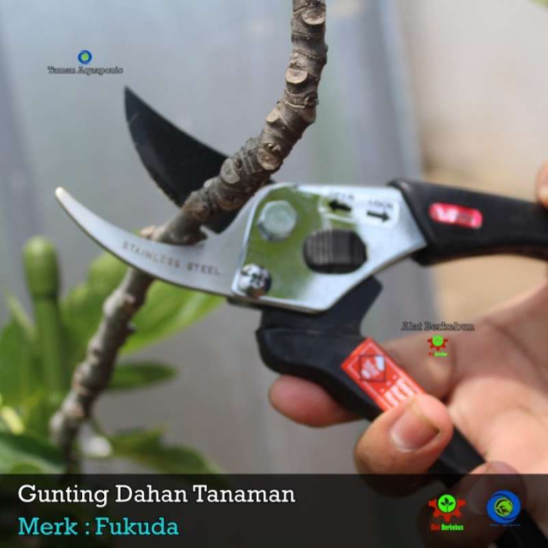 Promo Gunting Dahan Gunting Prunning 8 Diskon 17% di Seller AK_Gallery - Wanajaya, Kab. Bekasi ...