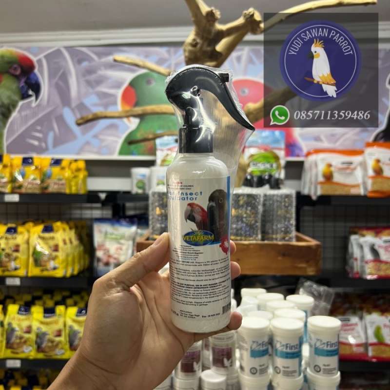 Jual Telur Burung Macaw Termurah - Harga Grosir Terupdate Hari Ini | Blibli