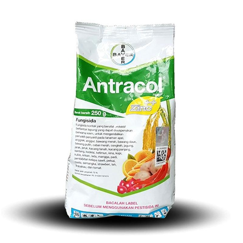 Jual Bayer Antracol 70 Wp Penanggulangan Hama Insektisida [250 g] di ...