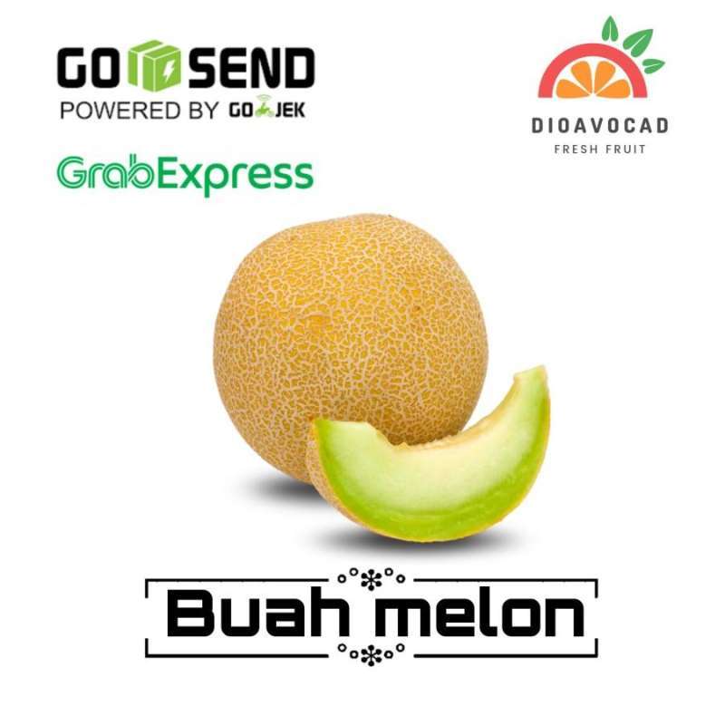 Jual buah melon 1 buah / melon madu / melon super Halal di Seller Dioavocad fruits - Wanasari ...