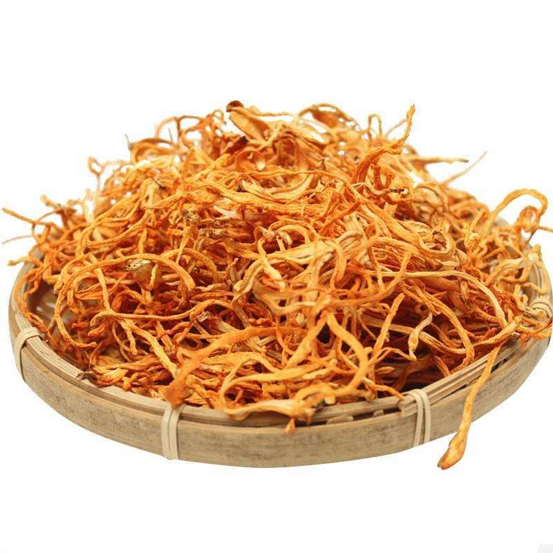 Jual jin chong cao cordyceps militaris 100 gram di Seller Toko obat ...