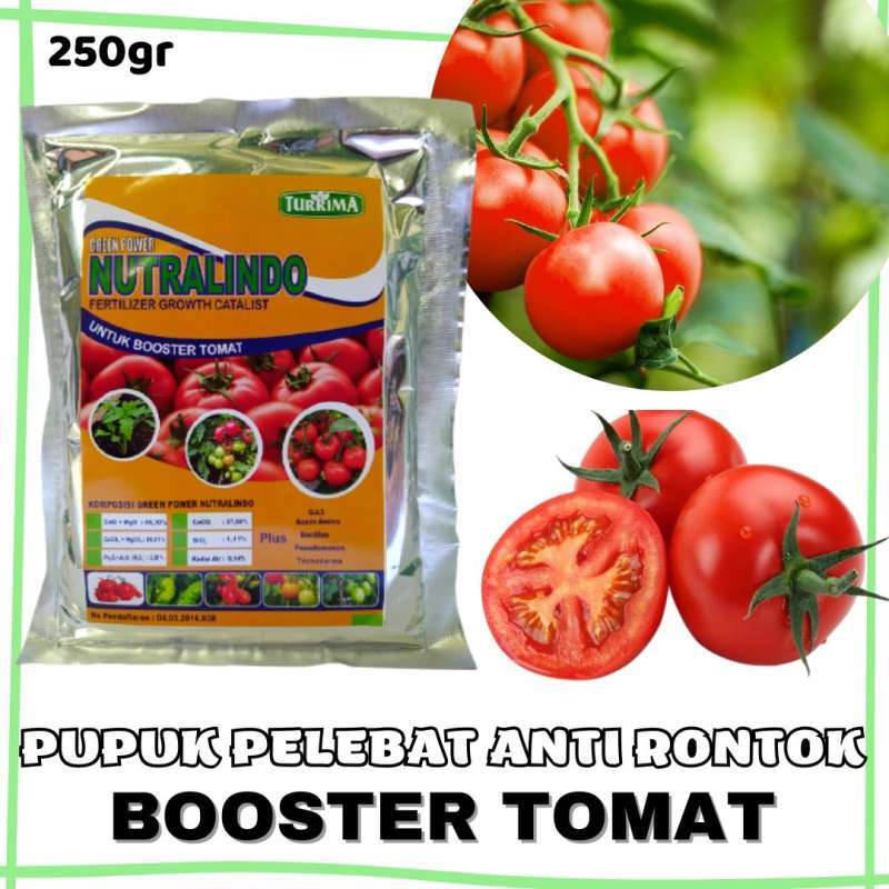Promo Pupuk Tomat Organik Padat, Nutrisi Tanaman Tomat, Booster Tomat Agar Berbuah Diskon 32% di ...