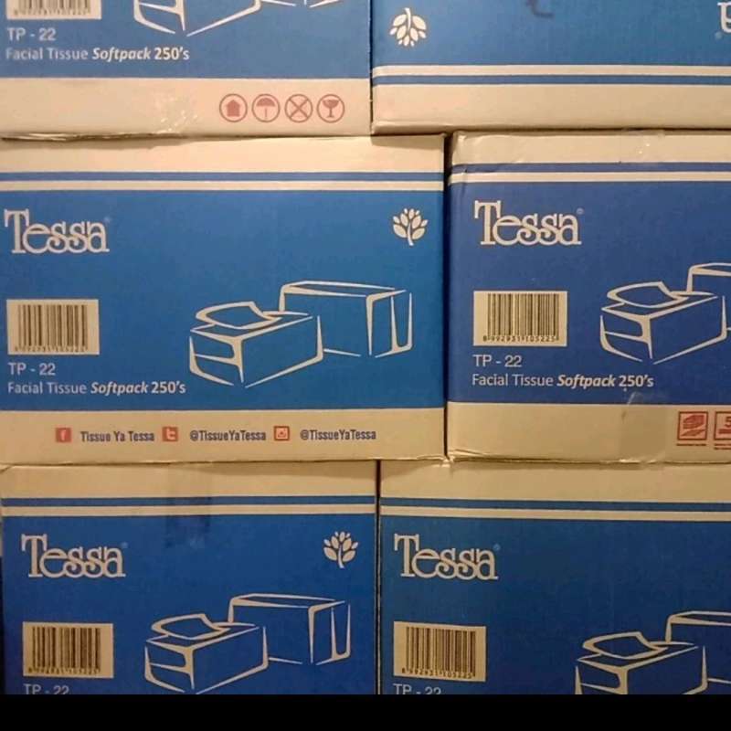 Jual Tissue Tessa 250 Sheets Per Karton / Dus (isi 40 Pcs) Tessa 250 S ...