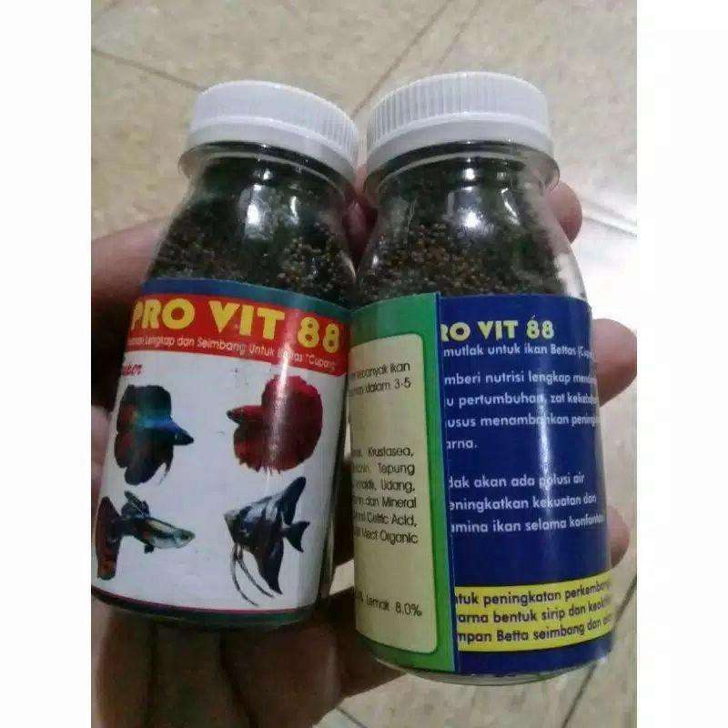 Jual Provit Pro Vit Pakan Pelet Pellet Makanan Ikan Hias Ukuran Kecil ...