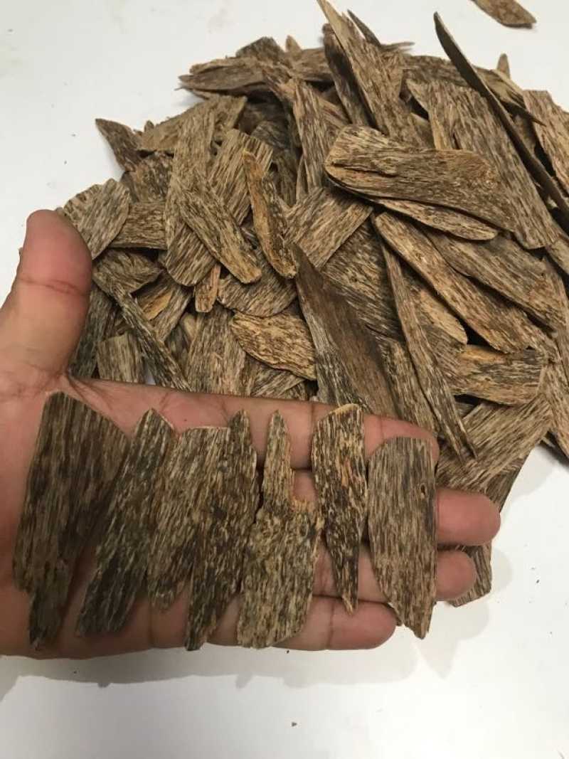 Jual Jual Kayu Gaharu Asli Sumatera Tiger Skin Oud di Seller Benjamal ...