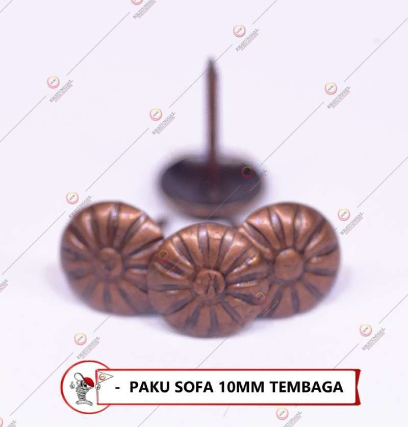Jual Paku Makassar Original Murah - Harga Diskon April 2024 | Blibli.com