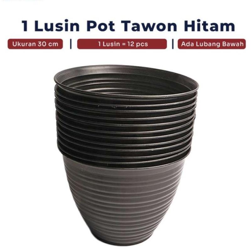 Jual 12 Pcs Pot Tawon Hitam 30cm Di Seller Home Applypart - Cengkareng ...