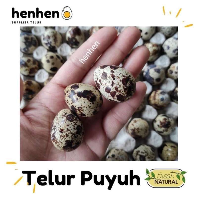 Harga Telur Puyuh 🔥 - Harga terbaru & Terlengkap Mei 2026