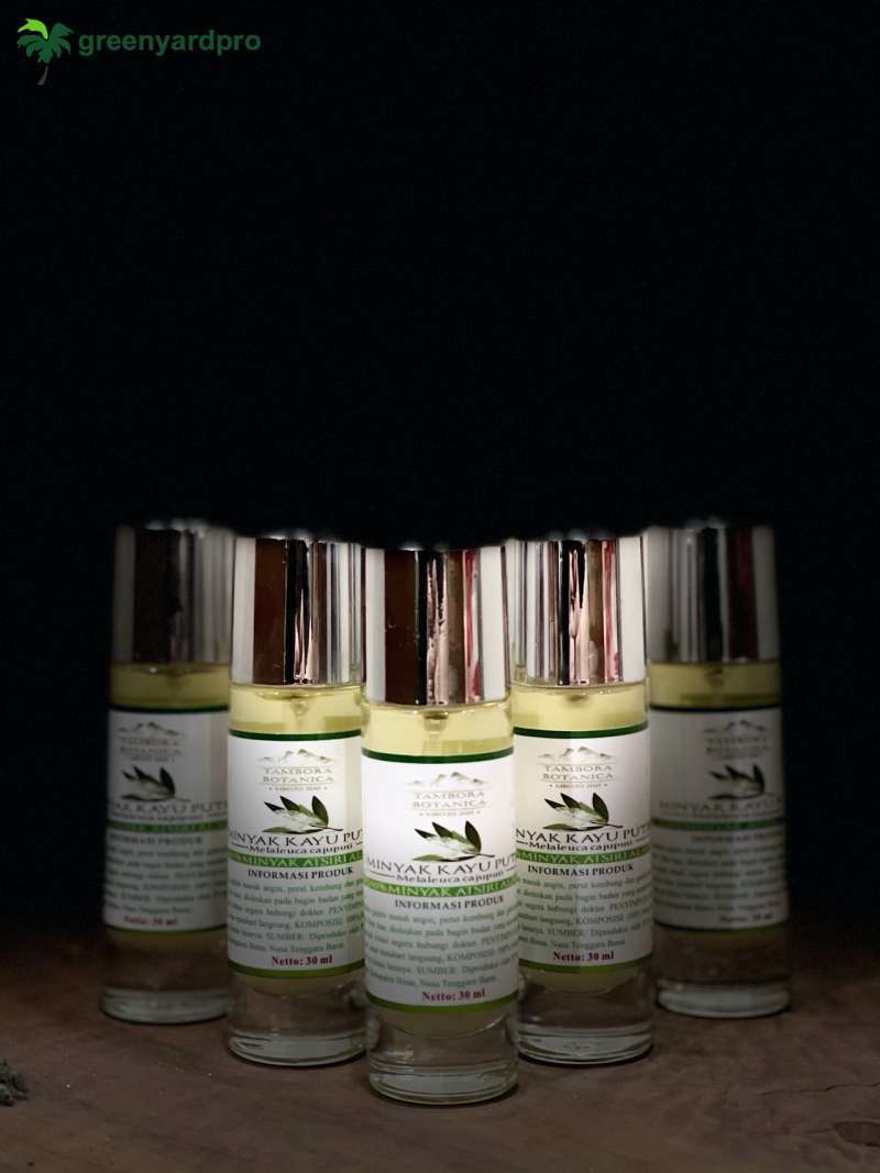 Jual MINYAK KAYU PUTIH MURNI TAMBORA BOTANICA 30 ML BOTOL SPRAY - BPOM ...