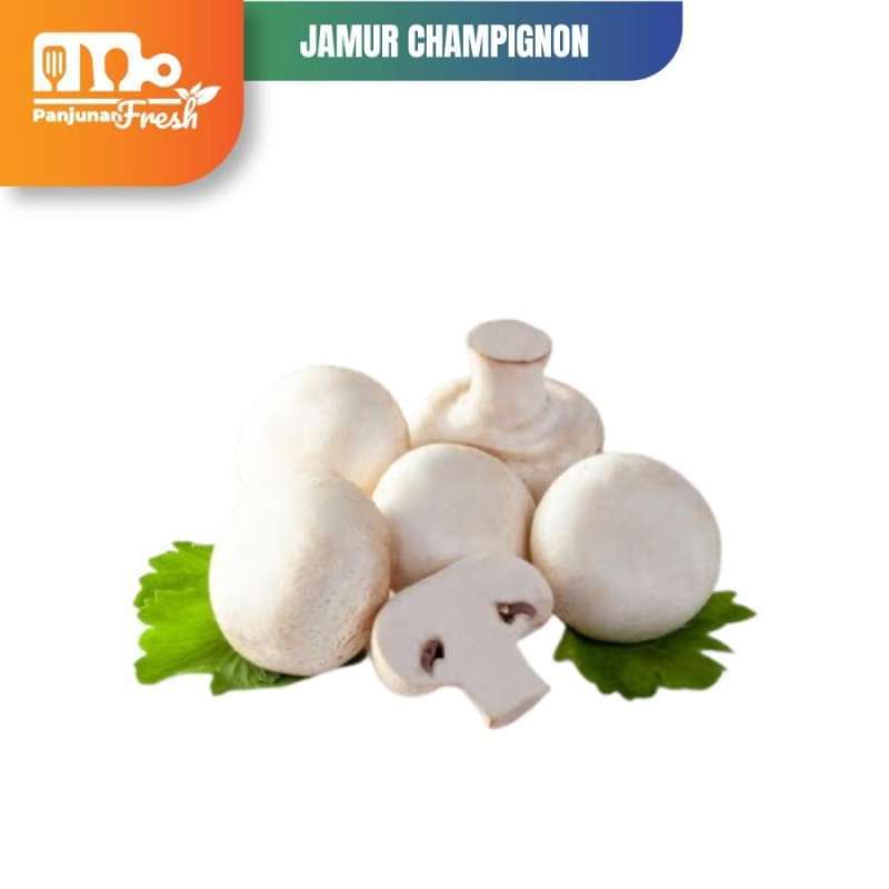 Jual Jamur Kancing 1 Kg Harga Mei 2024 | Blibli