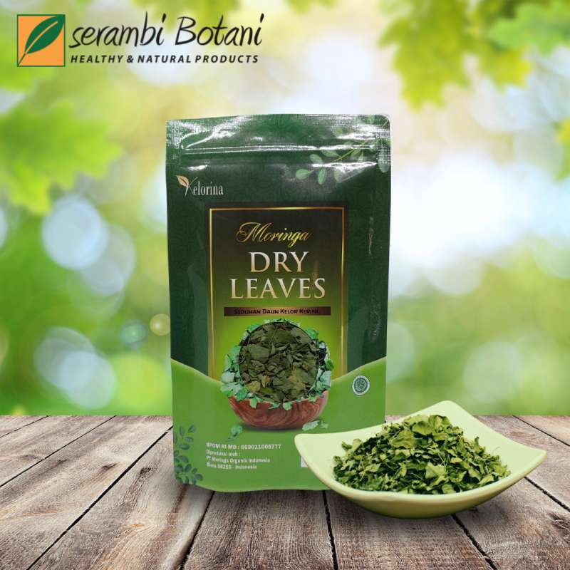 Jual Daun Kelor Kering Moringa Dry Leaves 15gr Serambi Botani di Seller ...