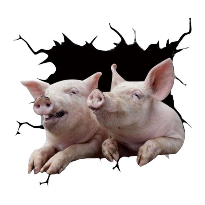 Jual 3D Funny Car Window Sticker PVC Sticker for Vehicle Window ...