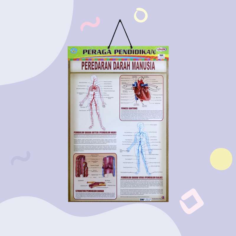 Jual Poster Edukasi Anak / Gambar Edukasi Anak / Poster Anak Edukasi ...