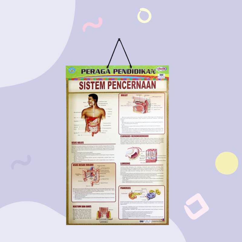 Jual Poster Edukasi Anak / Gambar Edukasi Anak / Poster Anak Edukasi ...