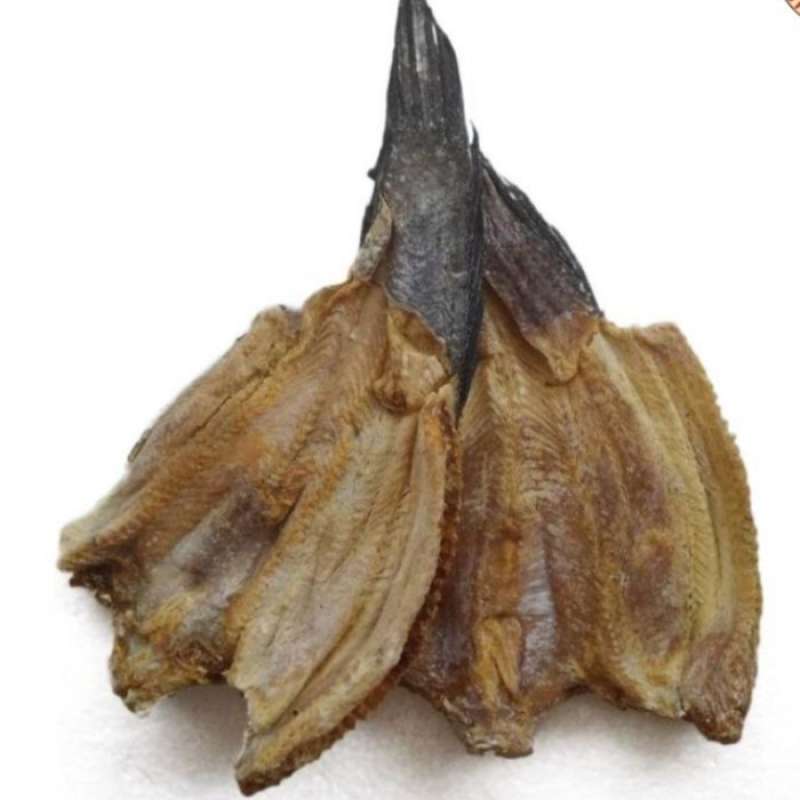 Jual Ikan Gabus Murah - Harga Grosir Juni 2024 | Blibli